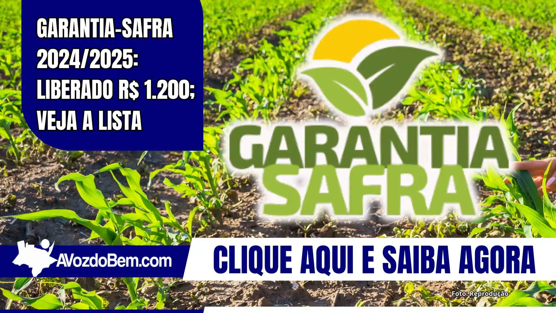 Garantia-Safra 2024/2025: liberado R$ 1.200; veja a lista